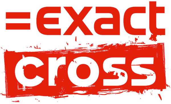 Exact Logo